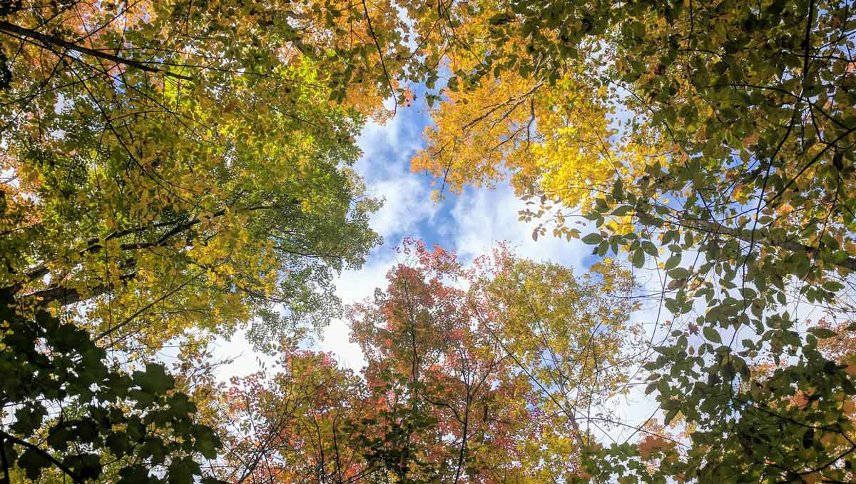 Air Filtration North America | MANN+HUMMEL