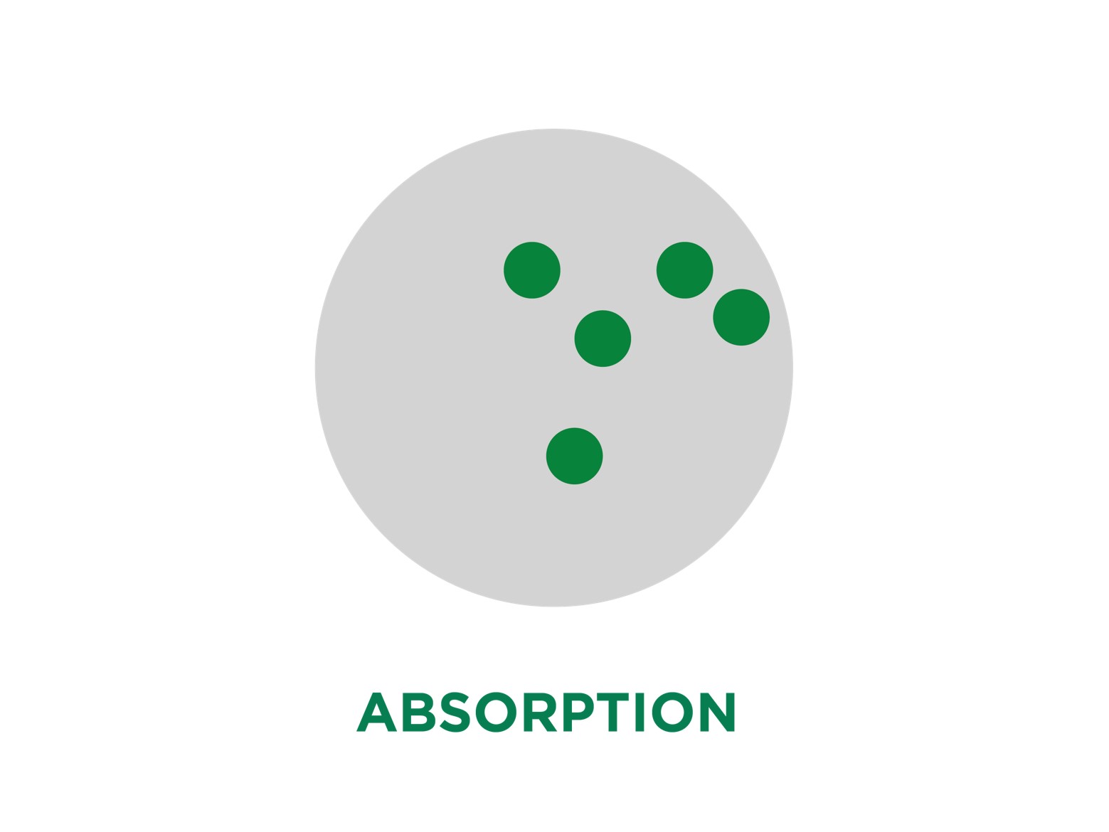 Differentiate between adsorption and absorption